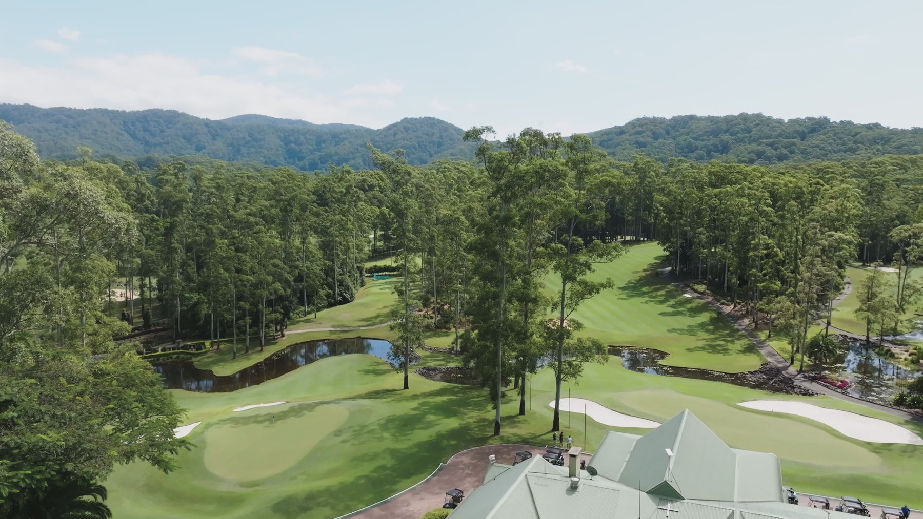 Premium Golf Tees Engineered for Distance | Tour Tee®